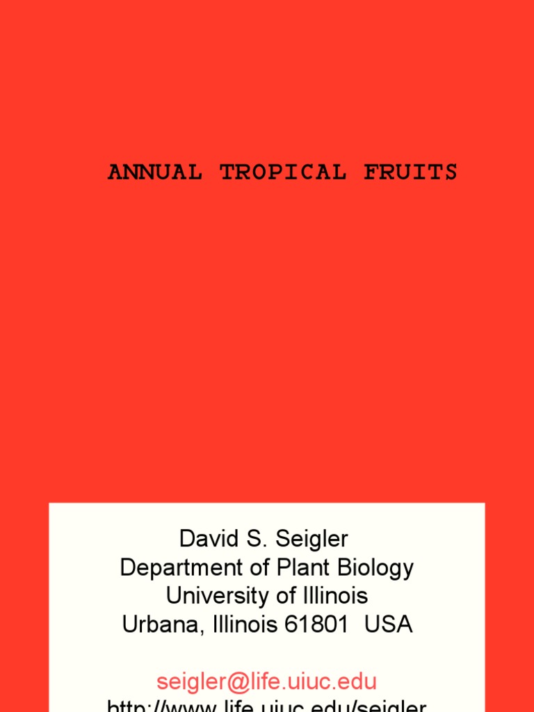 Annual Tropical Fruits | PDF | Cucurbita | Tomato