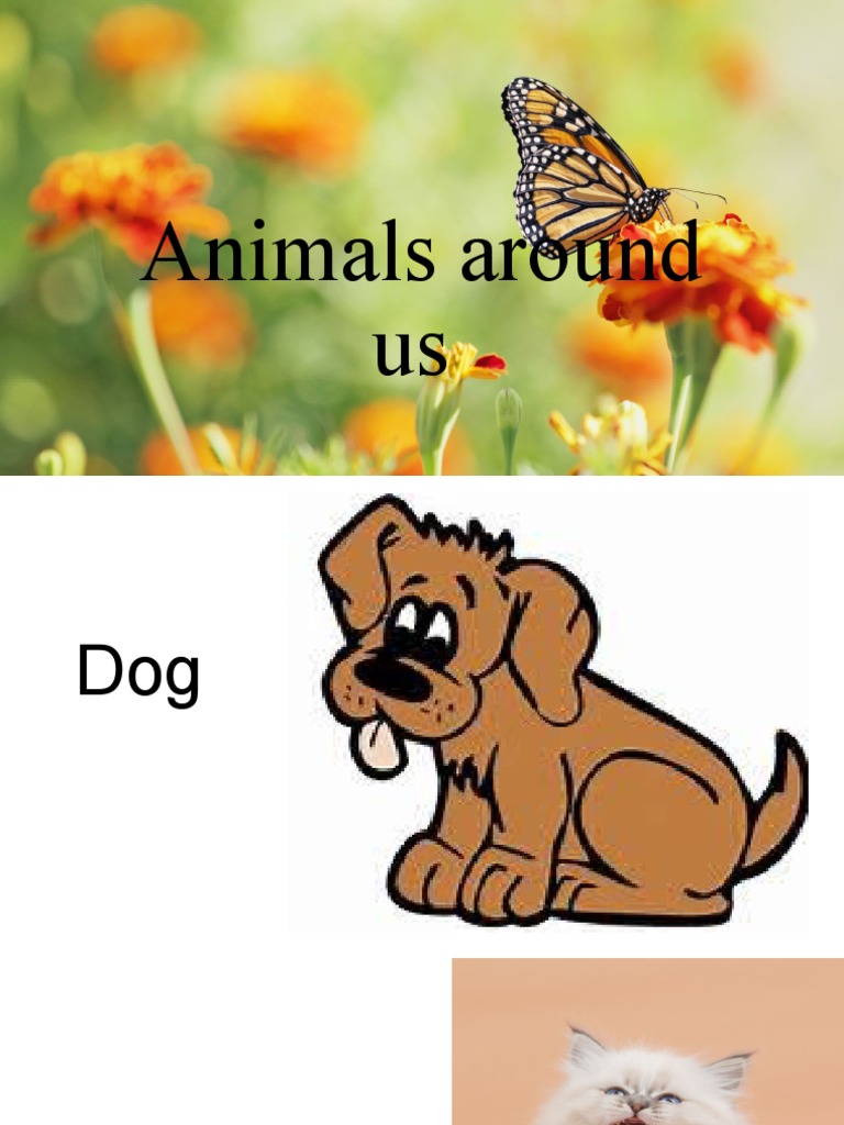 Animals Around Us Grade 2 New | PDF