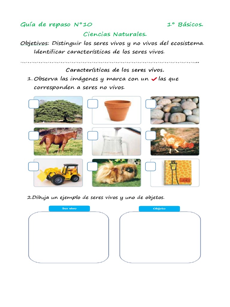 Guía de Ciencias Naturales para 1° Básico | PDF