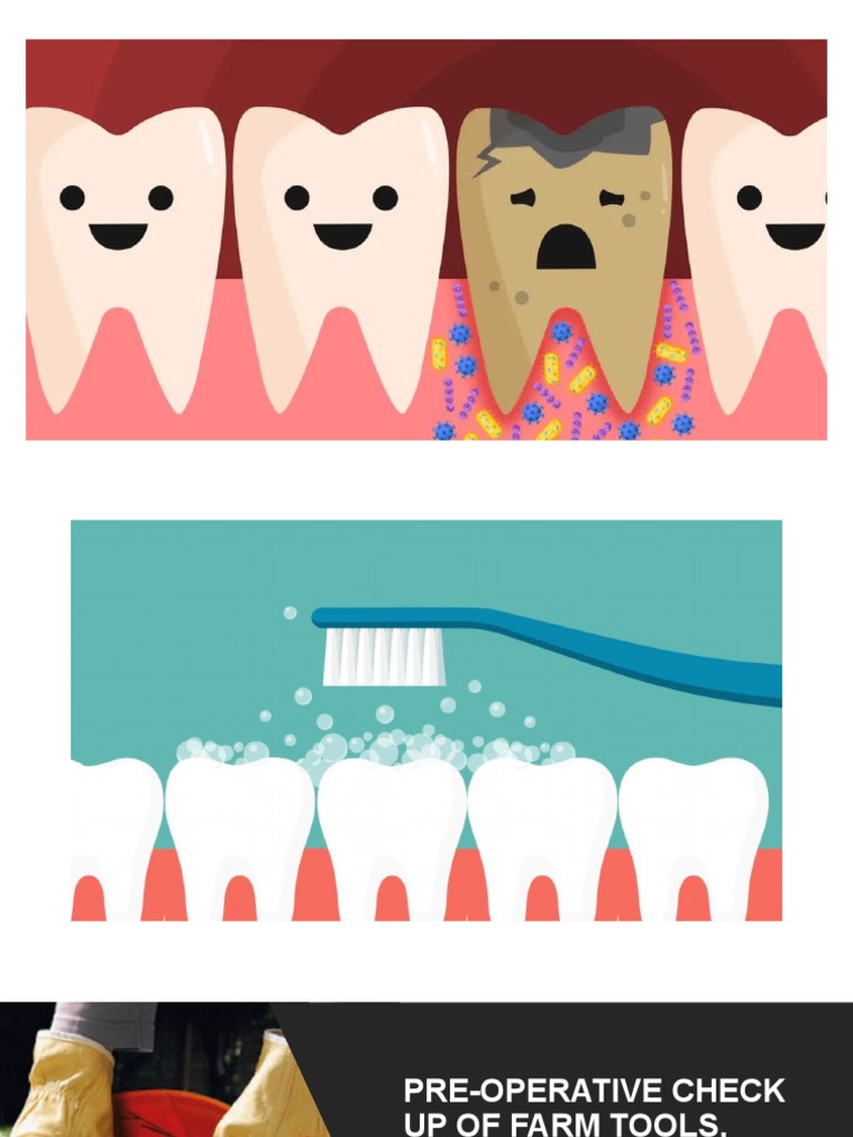 Pre-Operative Check Up of Farm Tools, Implements | PDF | Mechanical ...