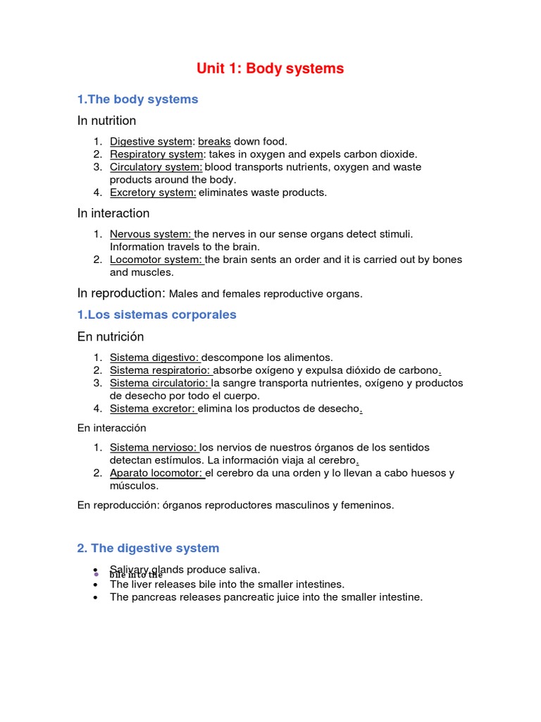 Unit 1 Body Systems Natural para 6 Primaria | PDF | Sistema digestivo ...