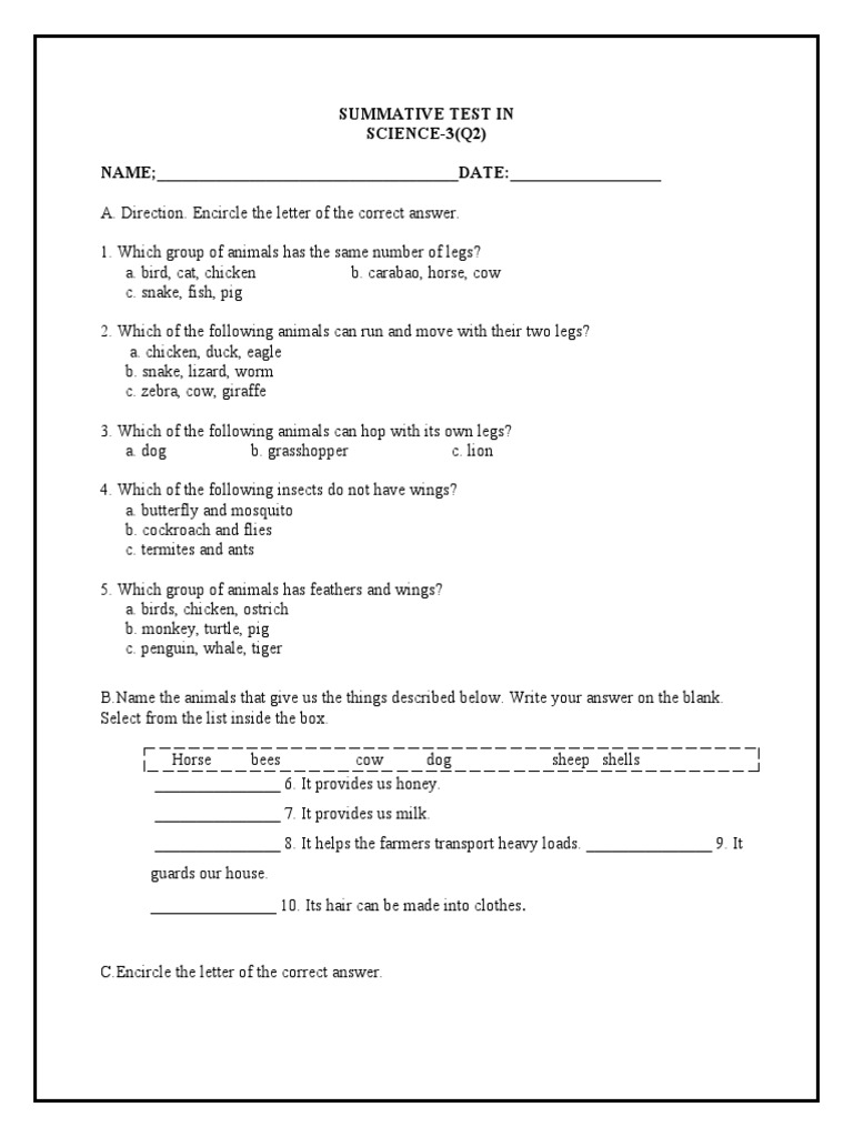 Summative Test in | PDF | Chicken | Zoology