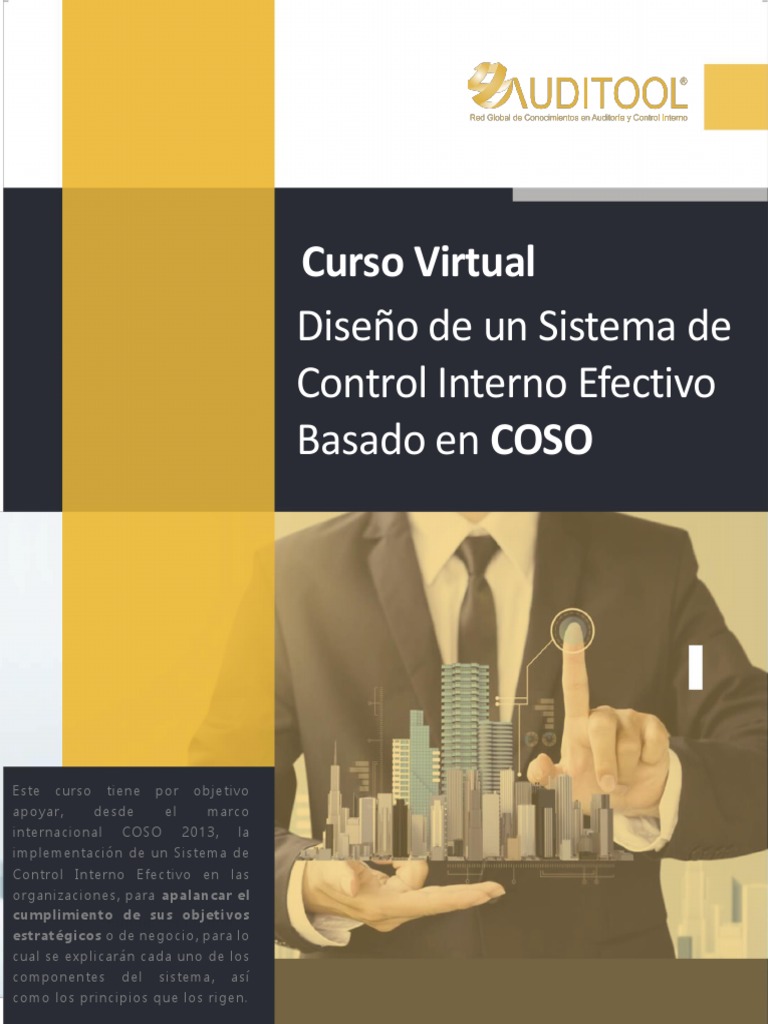 Guía Diseño de Un Sistema de Control Interno Efectivo Basado en COSO ...