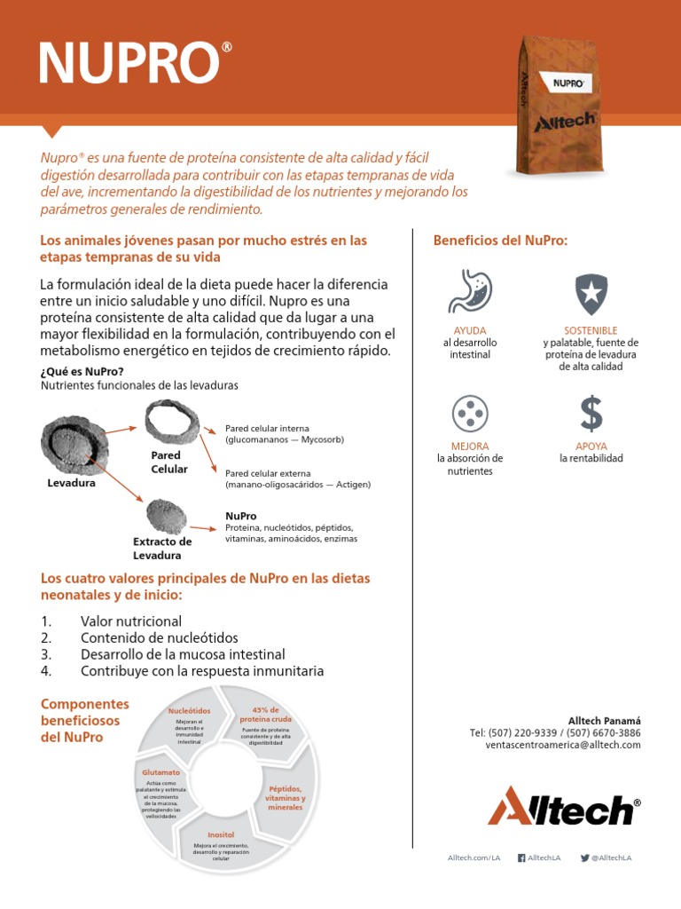 P4 Nupro Alltech | PDF | Proteínas | Nutrientes