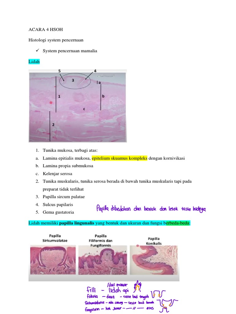 Acara 4 Hsoh Mix | PDF
