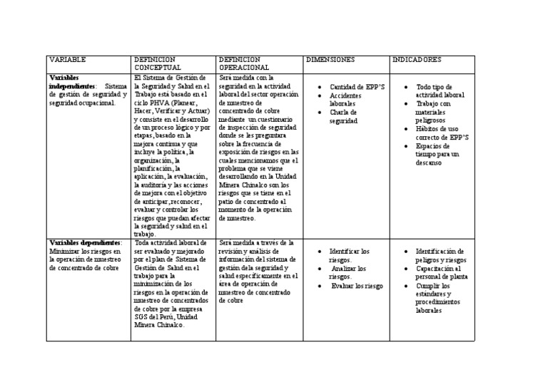 Definicion Operacional | PDF | Planificación | Business