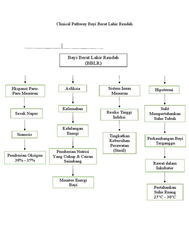 Clinical Pathway BBLR | PDF