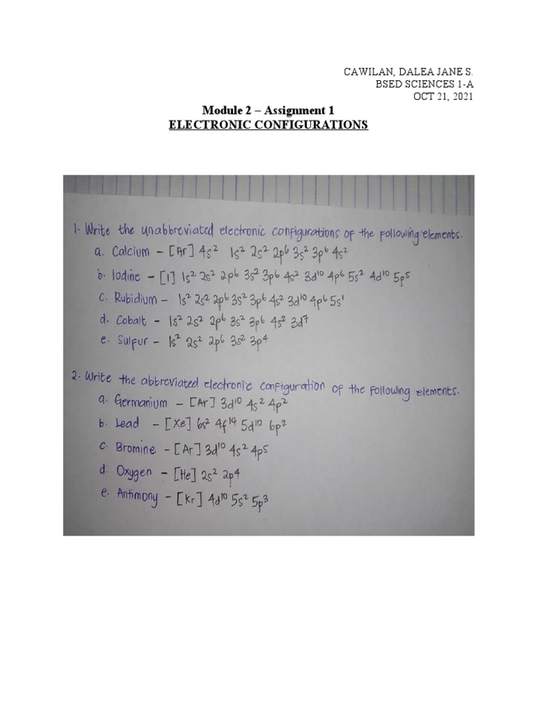 Module 2 - Assignment 1 | PDF