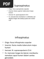 Origo dan Insersio Otot Manusia | PDF