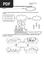Guía del Ciclo y Estados del Agua | PDF | El ciclo del agua | Agua