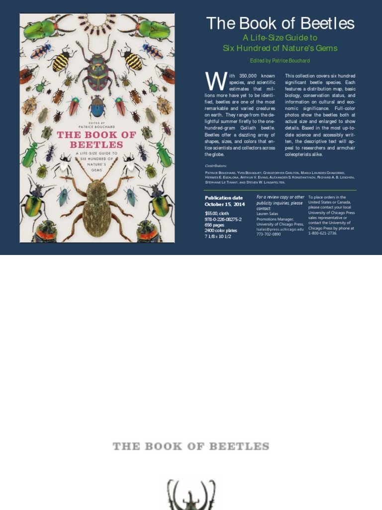 The Book of Beetles | PDF | Beetle | Ant