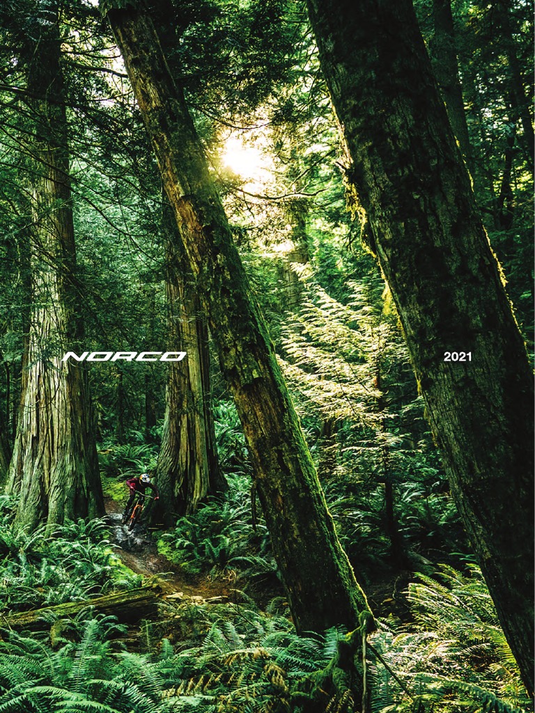 Catalogo Norco 2021 V2 Compressed-Comprimido | PDF | Manufactured Goods ...