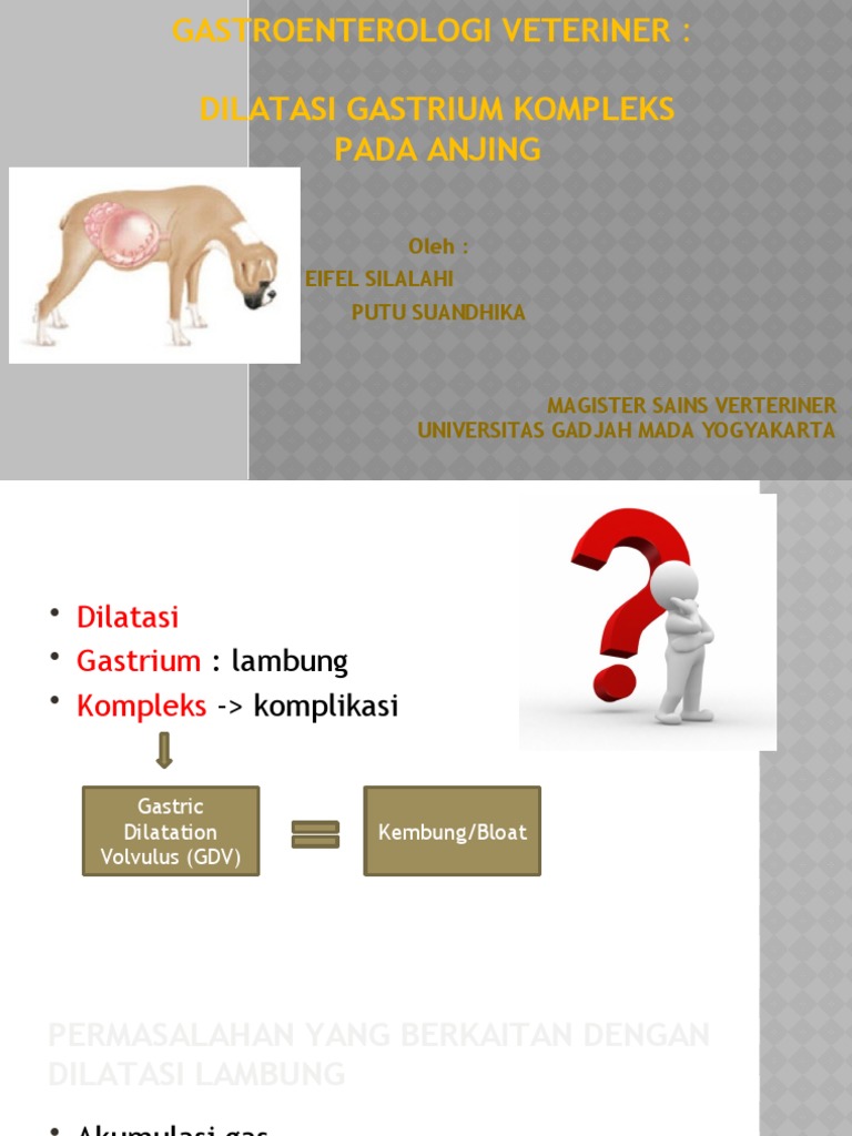 Dilatasi Gastrium Kompleks | PDF