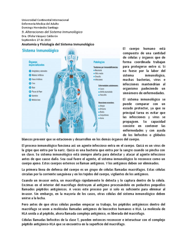 9 Anatoma y Fisiología Del Sistema Inmunologico | PDF | Sistema inmune | Linfocitos