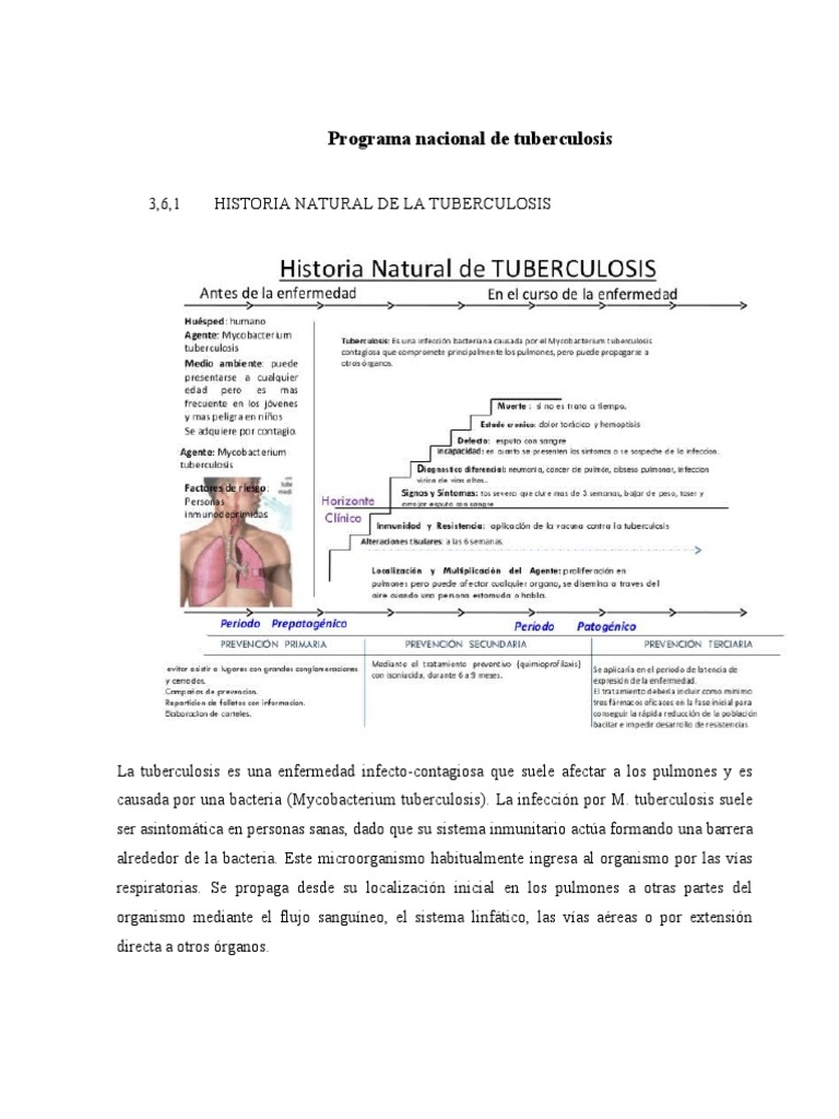 Programa Nacional de Tuberculosis | PDF | Tuberculosis | VIH / SIDA