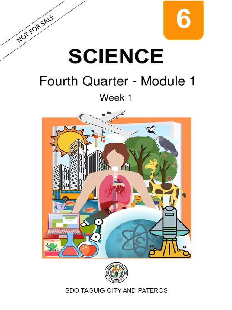 Fourth Quarter - Module 1: Week 1 | PDF | Volcano | Types Of Volcanic ...