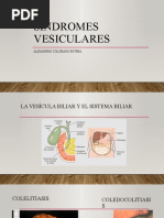 Anatomía del triángulo de Calot y Buddé | PDF | Vesícula biliar | Hígado