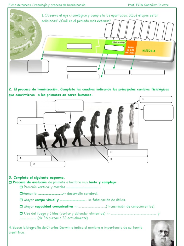 Ficha 1. PREHISTORIA. Cronologia y Proceso de Hominización | PDF