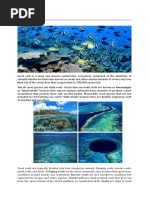 Coral Reef Food Web Dynamics | PDF | Coral Reef | Coral