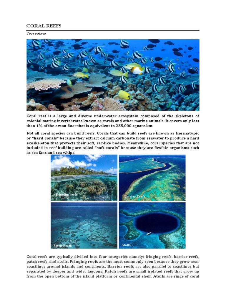 Fringing Reef Barrier Reef Atoll