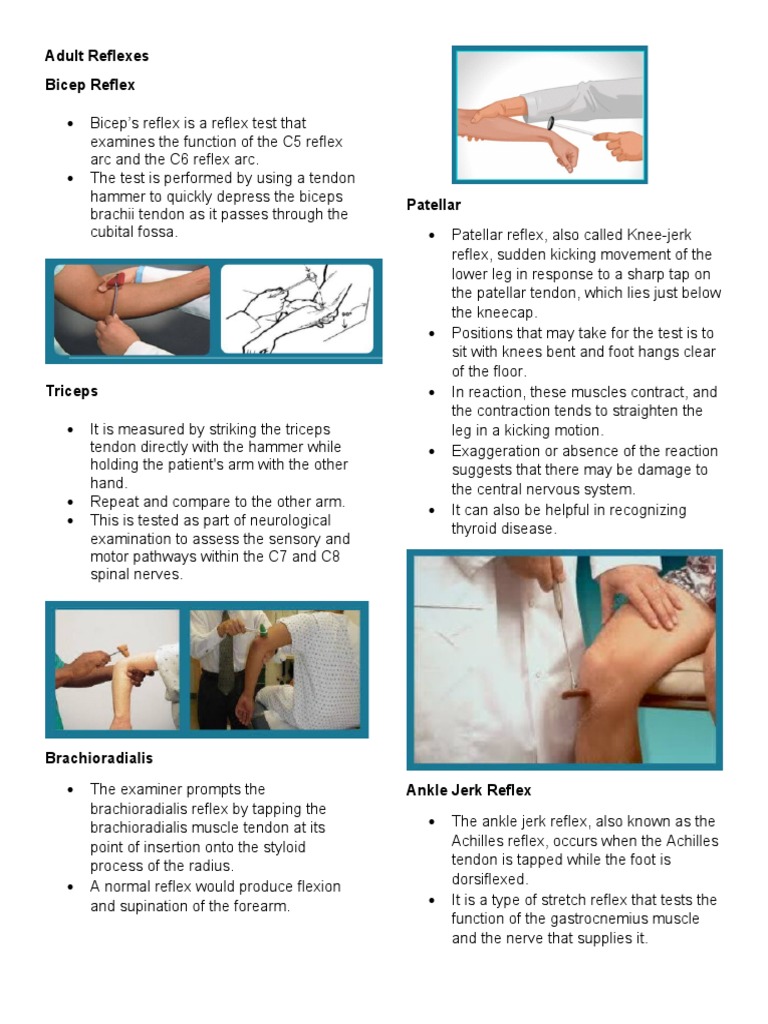 A Comprehensive Guide to Common Adult Reflex Tests | PDF | Arm ...