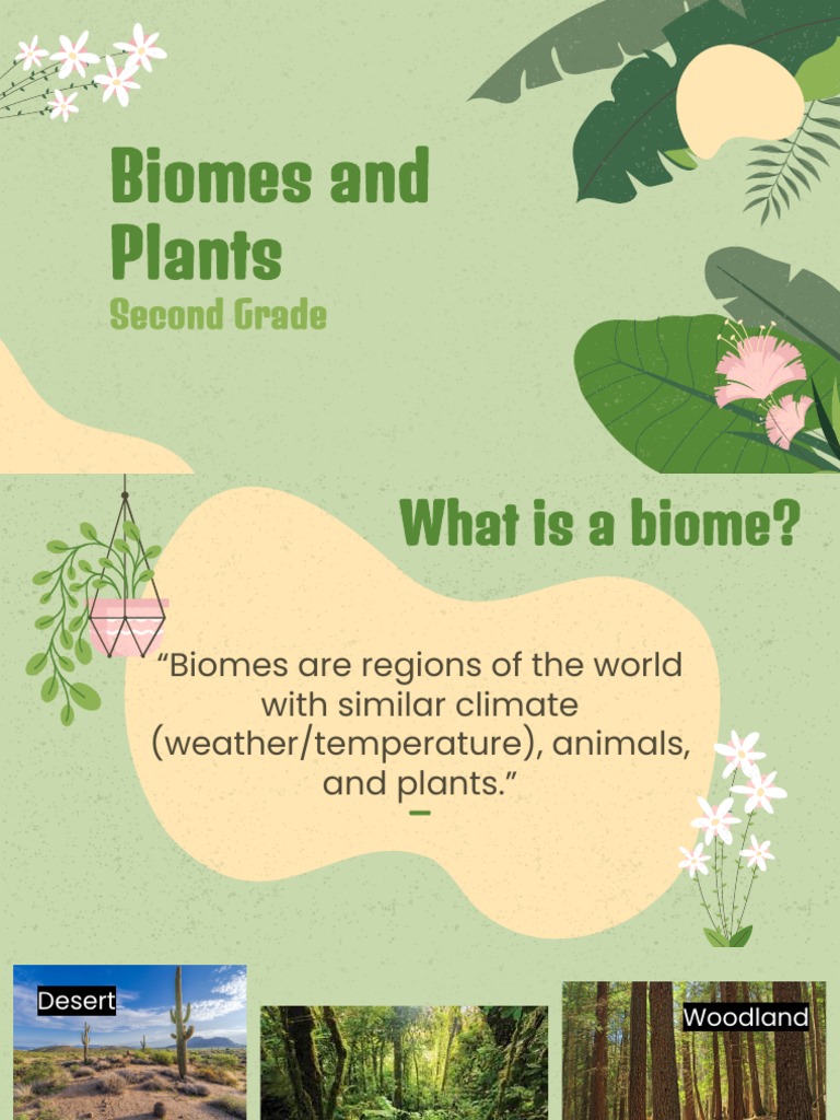 Lhawkes Second Grade Plants in Biomes | PDF | Rain | Climate