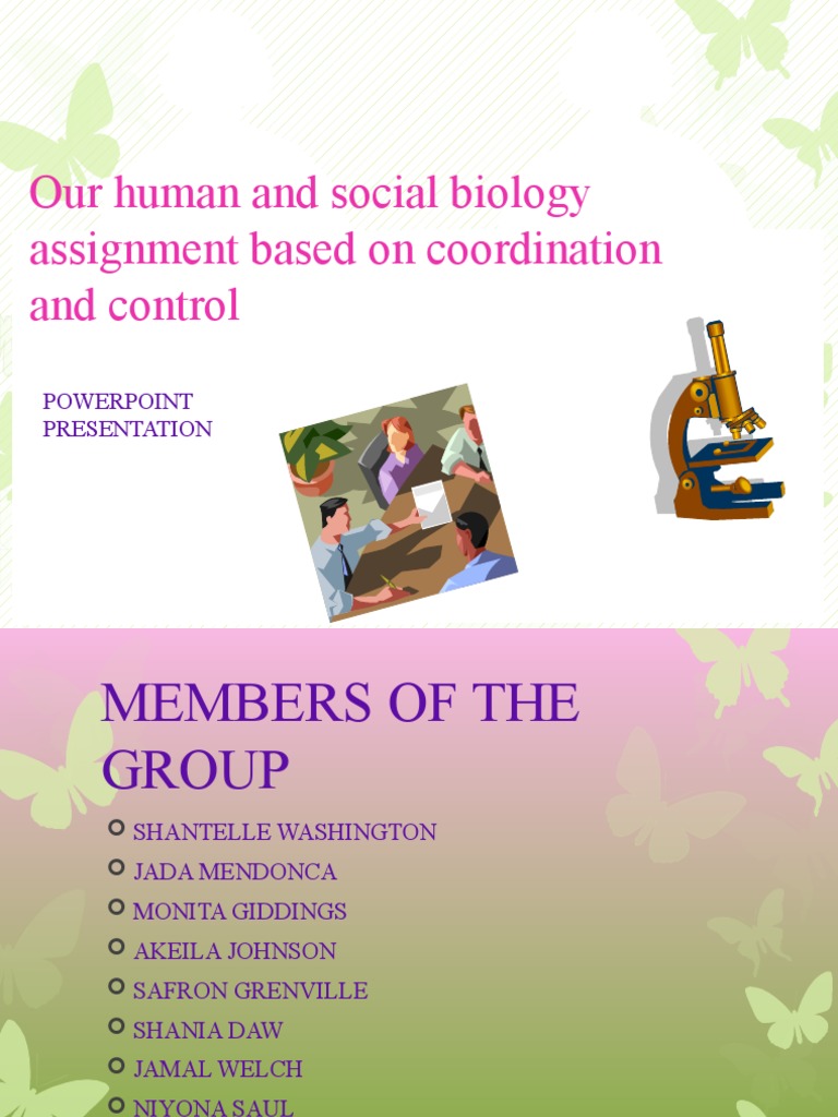 HSB Assignment | PDF | Neuron | Nervous System