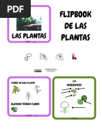 Bingo de Plantas Fotos | PDF