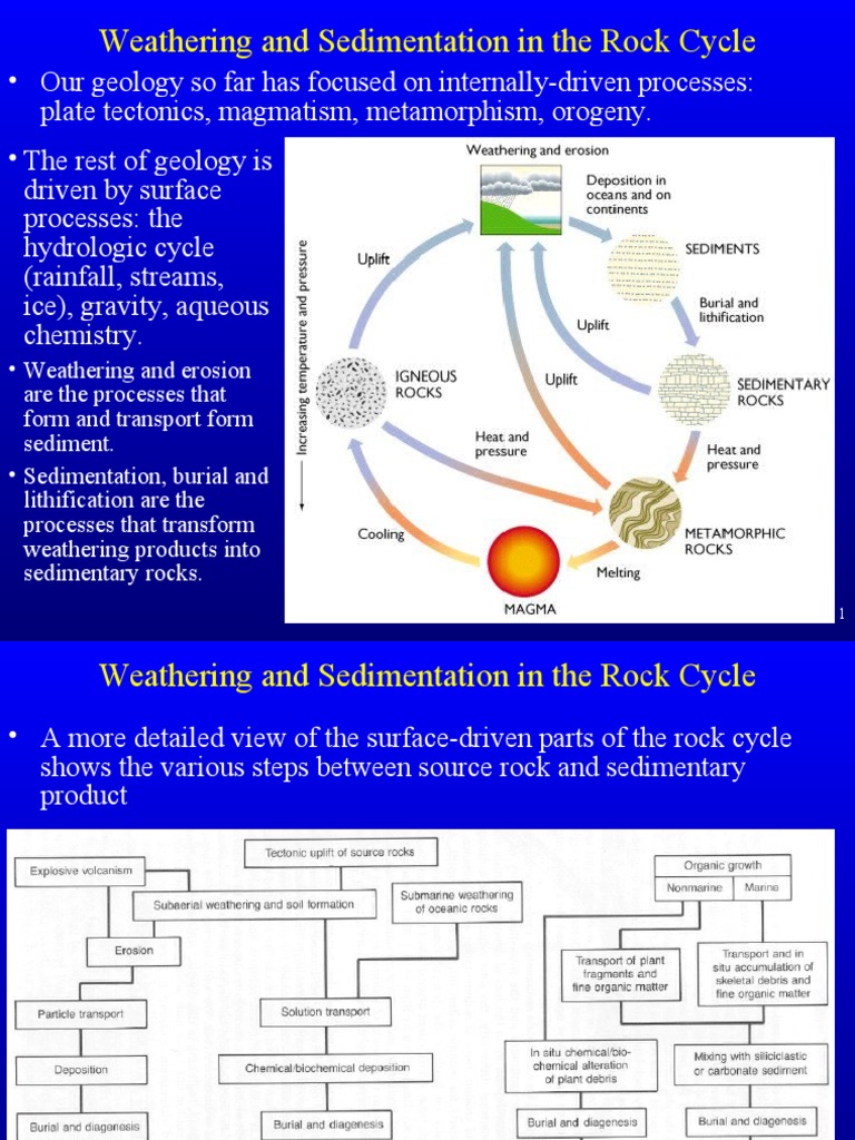 Weathering and Sedimentation Processes | PDF | Sedimentary Rock | Earth ...