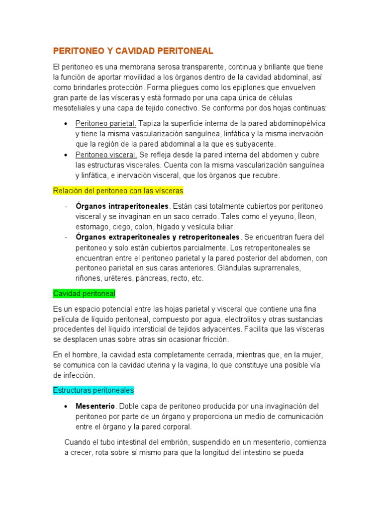 Anatomía y Función del Peritoneo | PDF | Abdomen | Peritoneo