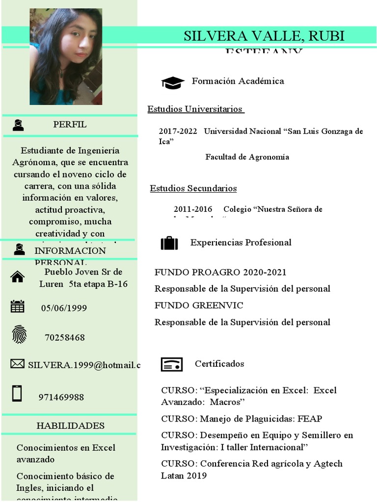 Curriculum Vitae Ica | PDF