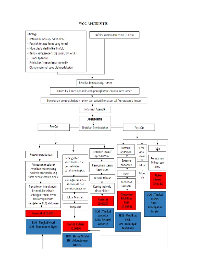 Woc Apendisitis | PDF