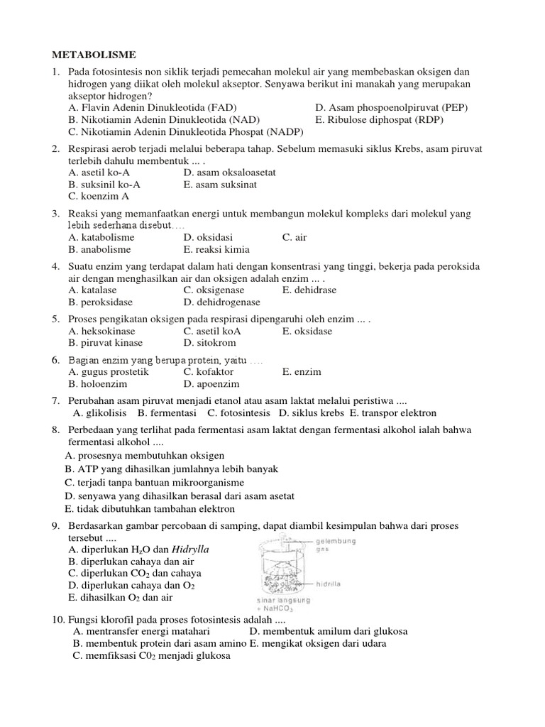 Soal Metabolisme-Sel | PDF