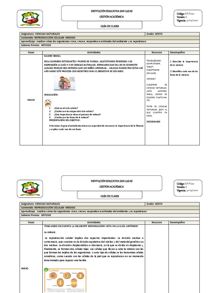 6° C.NATURALES GUIA DE CLASES No.3 REPRODUCCIÓN CELULAR MEIOSIS | PDF ...