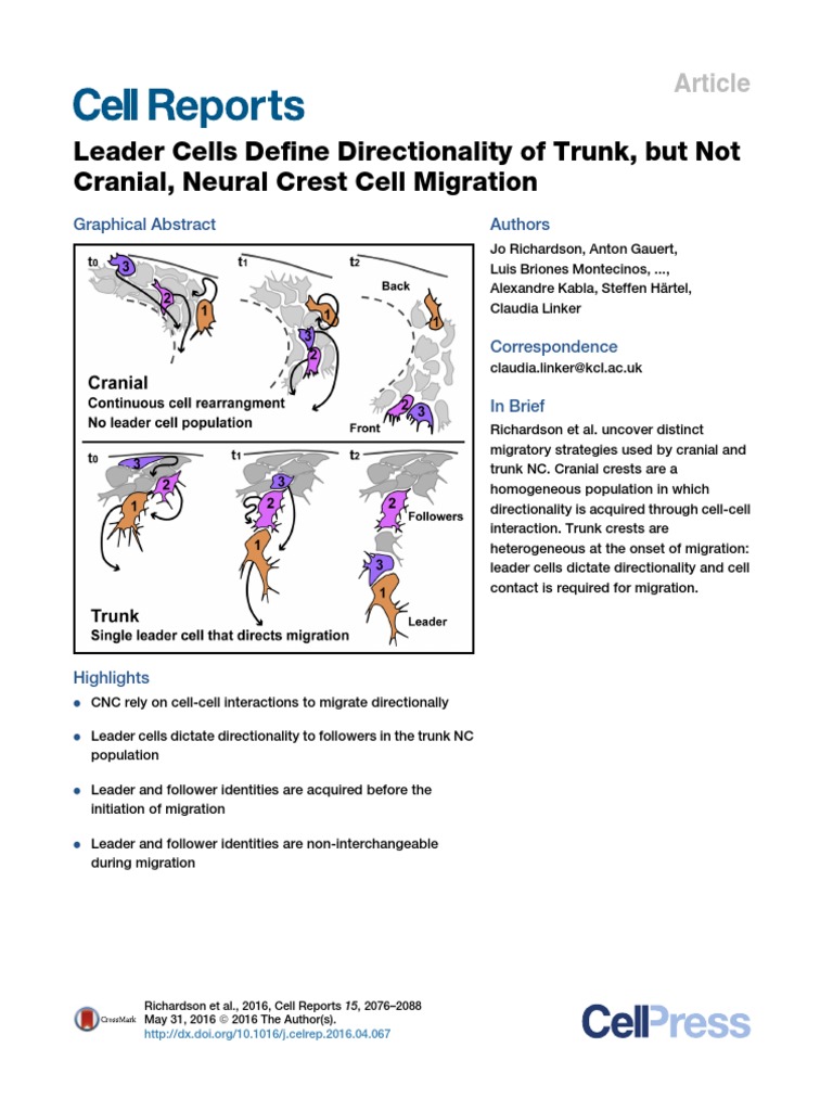 Leader Cells Define Directionality of Trunk, But Not Cranial, Neural ...