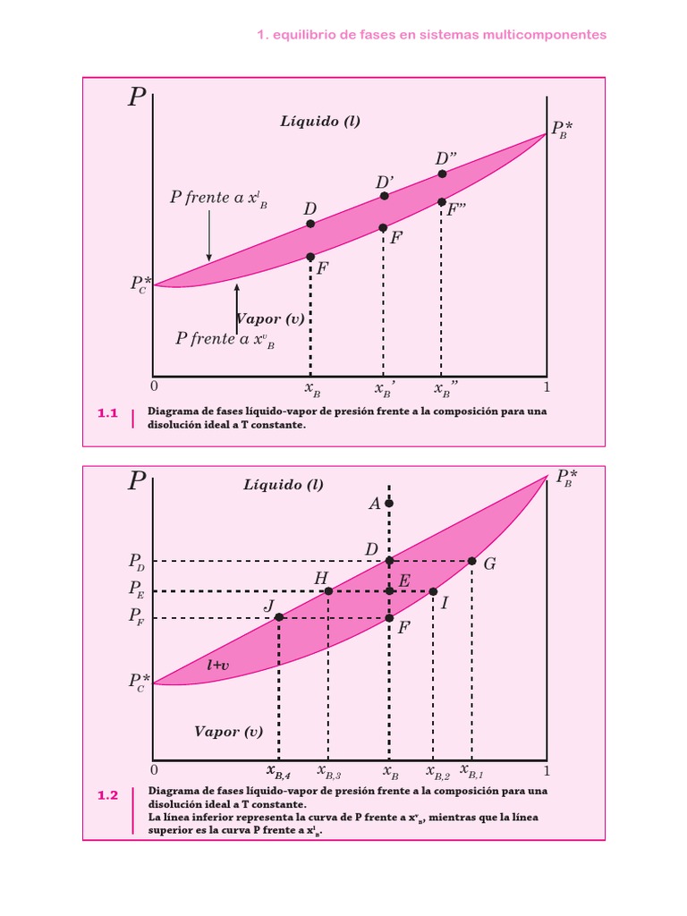 Equilibrio de Fases en Sistemas Multicomponentes - Corregido-1.0 | PDF ...