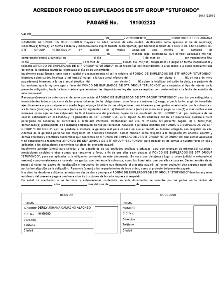 Pagaré - Carta de Instrucciones | PDF | Pagos | Responsabilidad ...