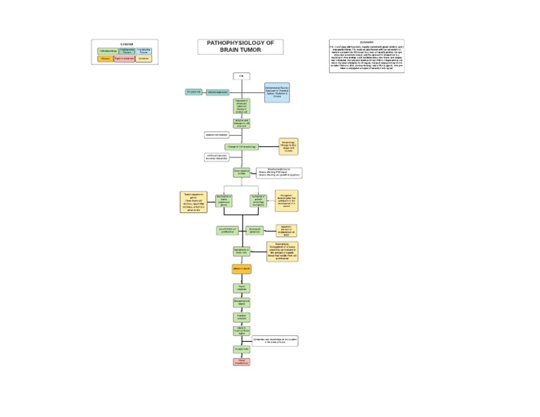 Pathophysiology of Brain Tumor: Legend | PDF | Neoplasms | Apoptosis