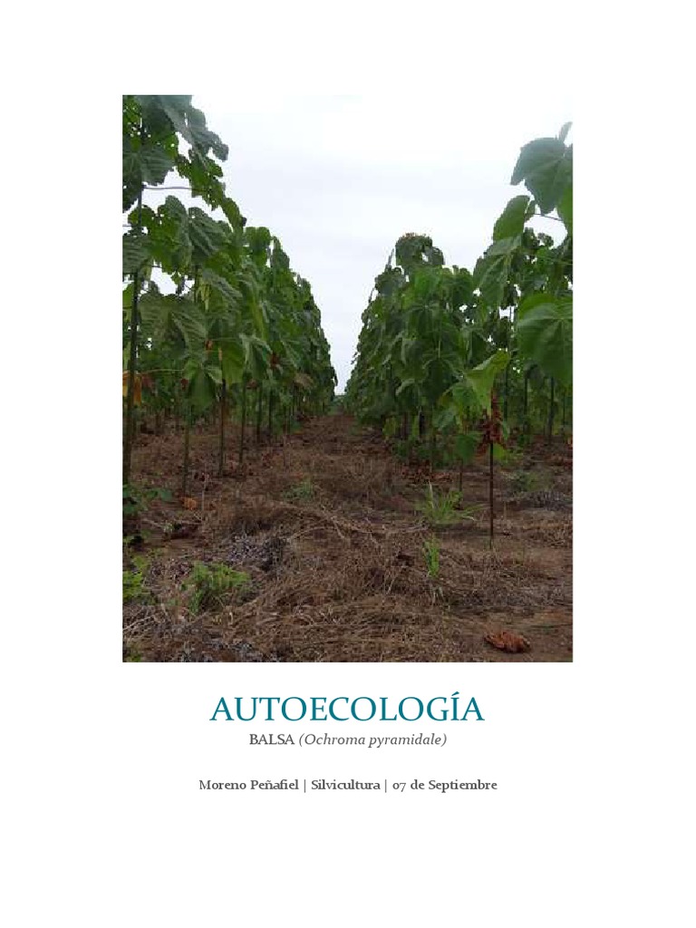 Autoecología Fin de Semestre - Balsa | PDF | Germinación | Suelo