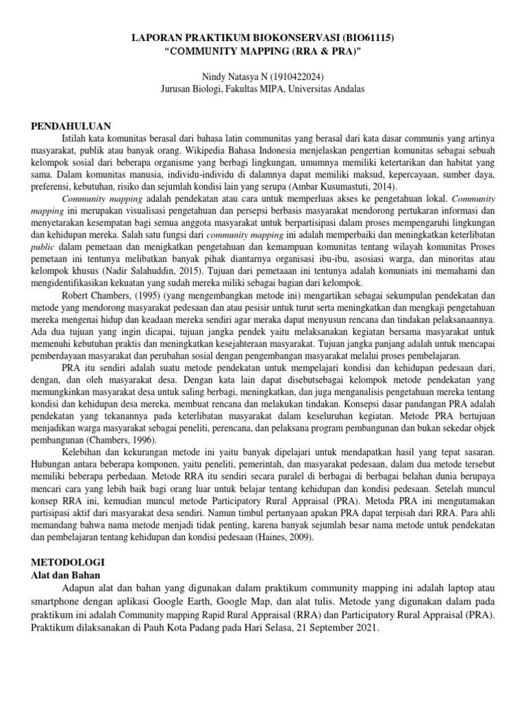 B - 1910422024 - Nindy Natasya N - Community Mapping (RRA & PRA) | PDF