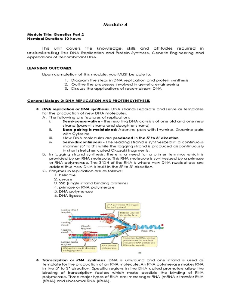 Bio 102 Module 4 | PDF | Messenger Rna | Translation (Biology)