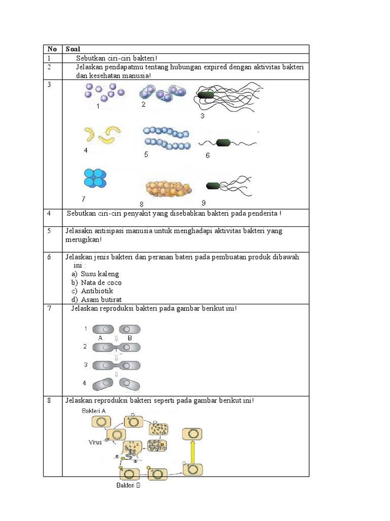 Soal Bakteri | PDF