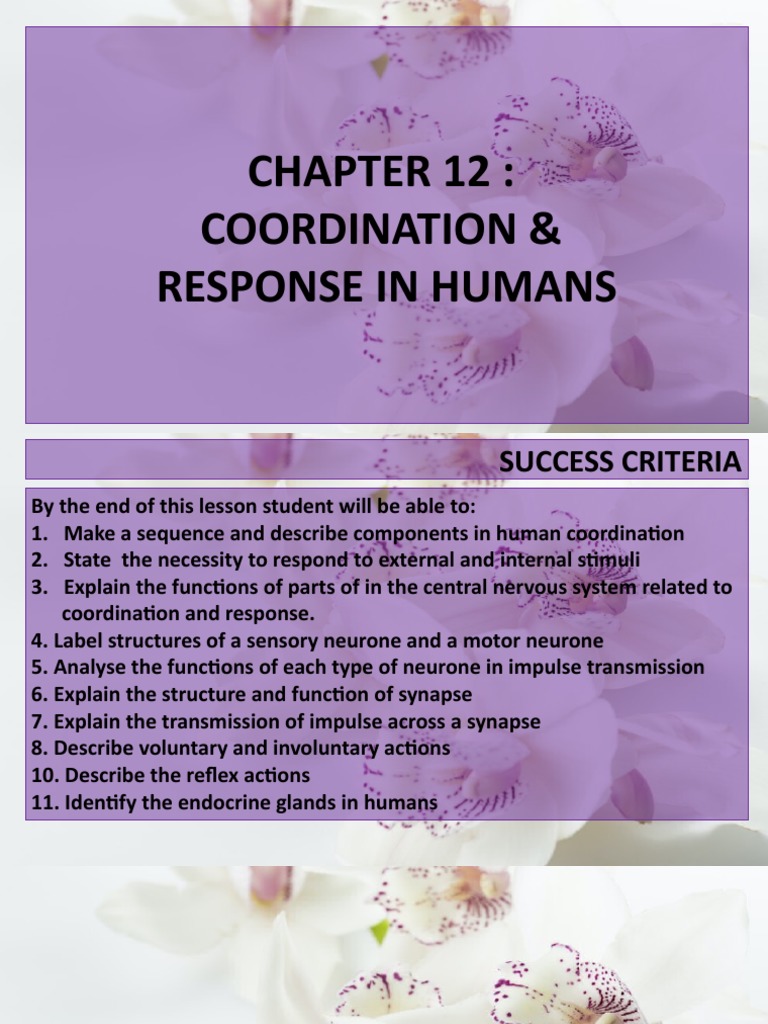 CHAPTER 12 - Coordination & Response | PDF | Neuron | Nervous System