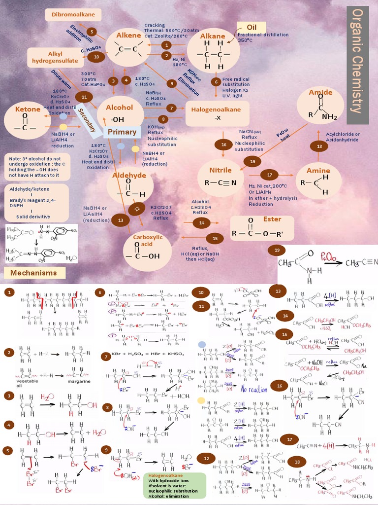 Organic Chemistry Poster | PDF | Alcohol | Chemistry