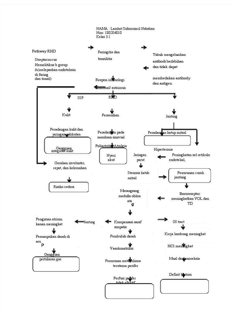 PDF Pathway RHD | PDF