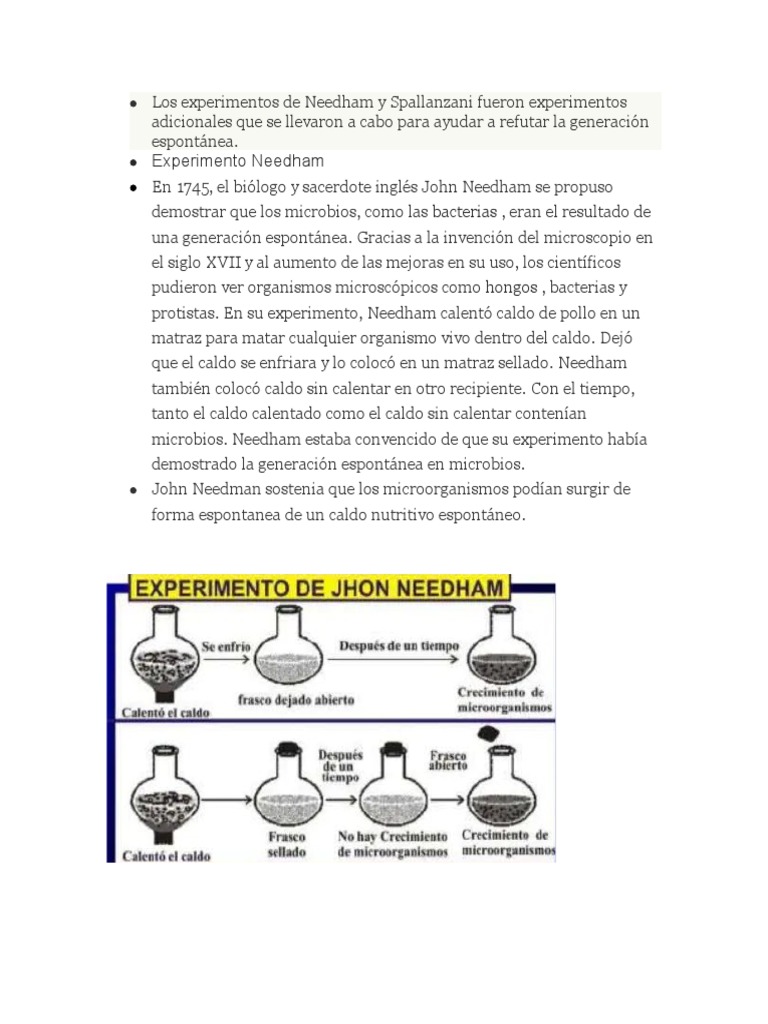 Experimento de Needman | PDF | Filosofía | Historia