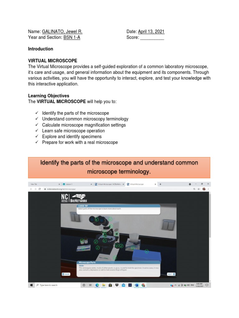 Virtual Microscope Exploration Guide | PDF | Science & Mathematics ...