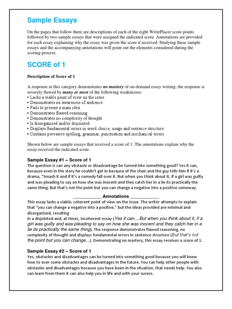 Sample Essay For Write Placer | PDF | Wuthering Heights | Essays