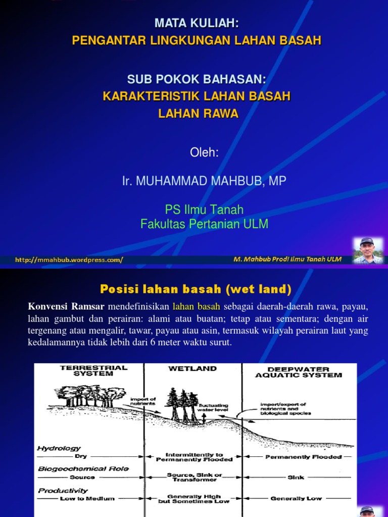 Karakteristik Lahan Basah (Lahan Rawa) | PDF