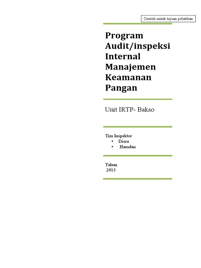 Contoh. Program Audit | PDF